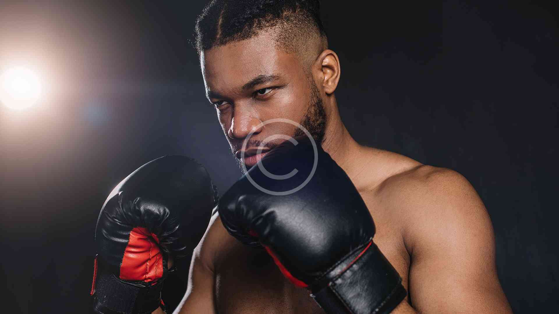 About the Champs: Friendly MMA Convention - Cockfighting Bets