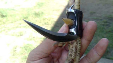 6 Types of Cockfighting Gaffs - Cockfighting Bets