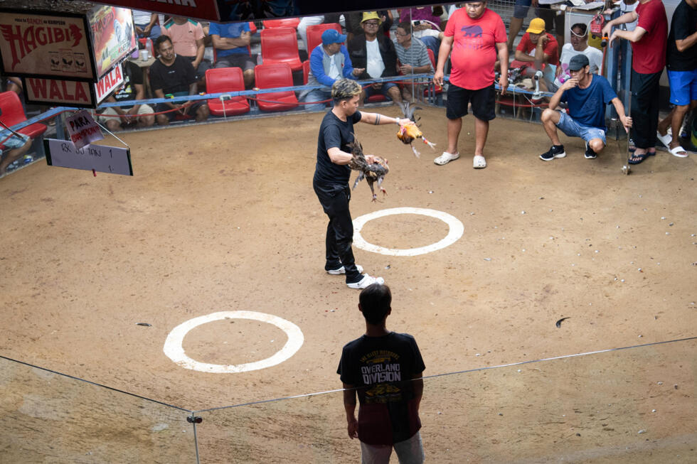 Environmental Considerations in Cockfighting Arena Construction ...